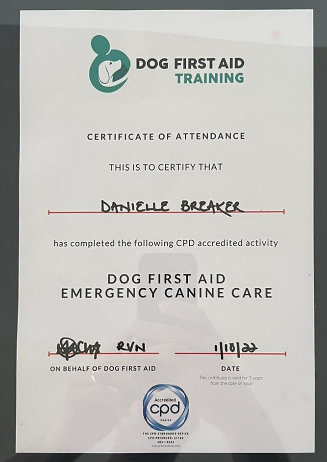 Lynsted Labs About Us - Labrador Puppies | Lynsted Labs | Sittingbourne