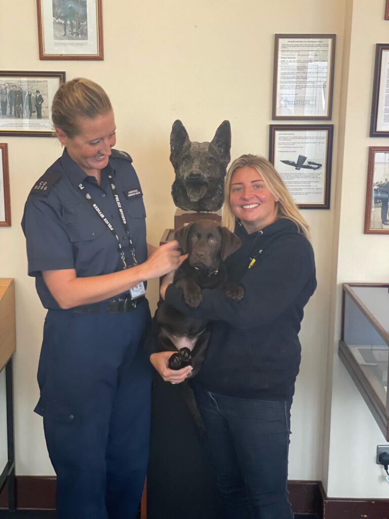 Puppy Handover to the Metropolitan Police - Labrador Puppies | Lynsted ...