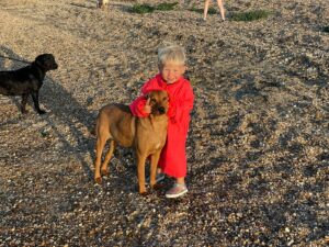 Labrador Puppies for Sale | Labrador Breeders Kent | Labrador Puppies ...