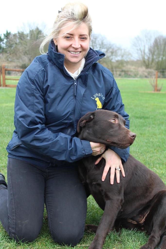 Labrador Puppies for Sale | Labrador Breeders Kent | Labrador Puppies ...