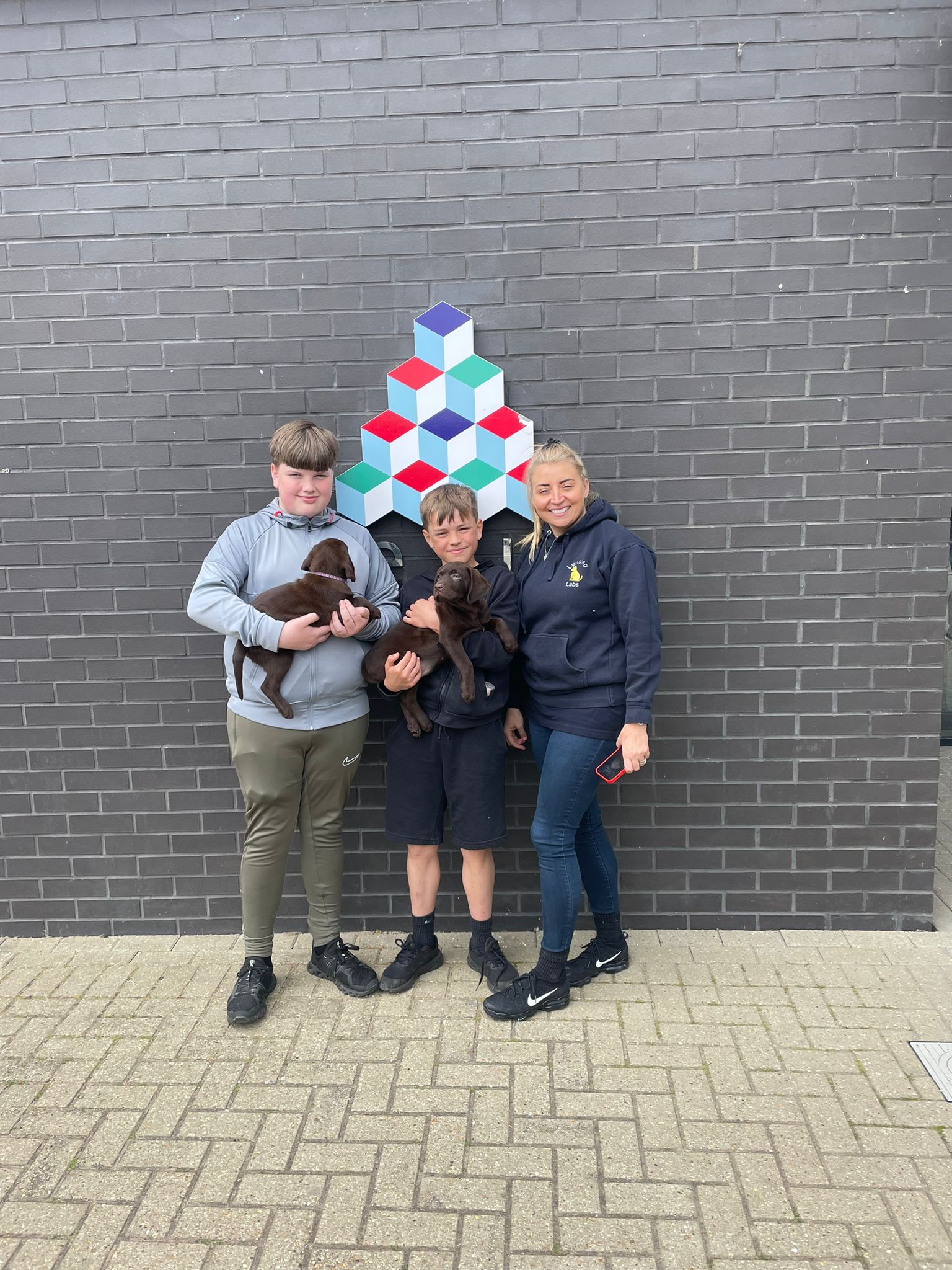 School Days - Labrador Puppies | Lynsted Labs | Sittingbourne